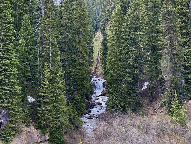 Coal Creek Falls Viewpoint - Silverton, Colorado | MyHikes Coal Creek Falls Viewpoint - Silverton, Colorado | MyHikes